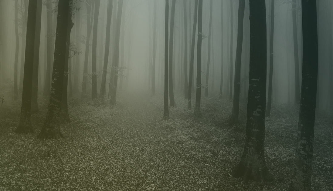 Episode 1 – David Paulides – Missing 411 Series – Untold Radio AM