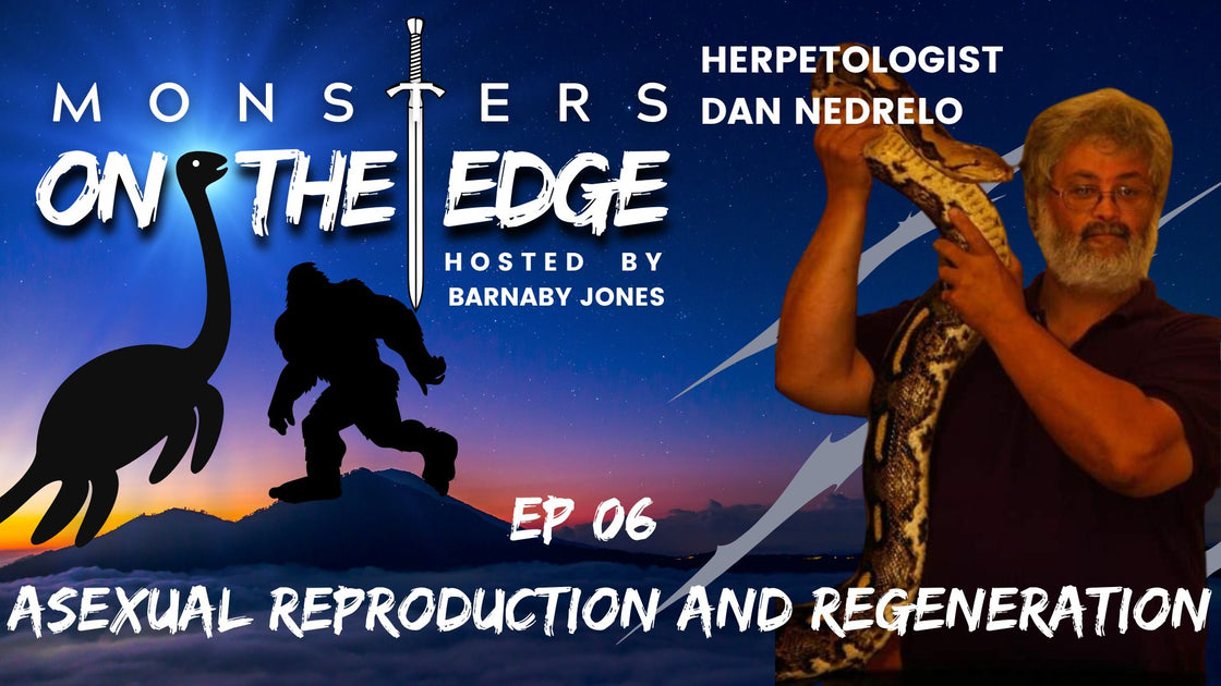 Asexual Reporduction and Regeneration with guest Dan Nedrelo | Monster ...