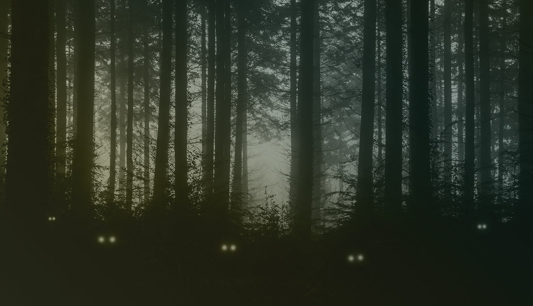 EP 53 – Robert Kryder – Tactical Cryptid Researcher, Adventurer, and E ...