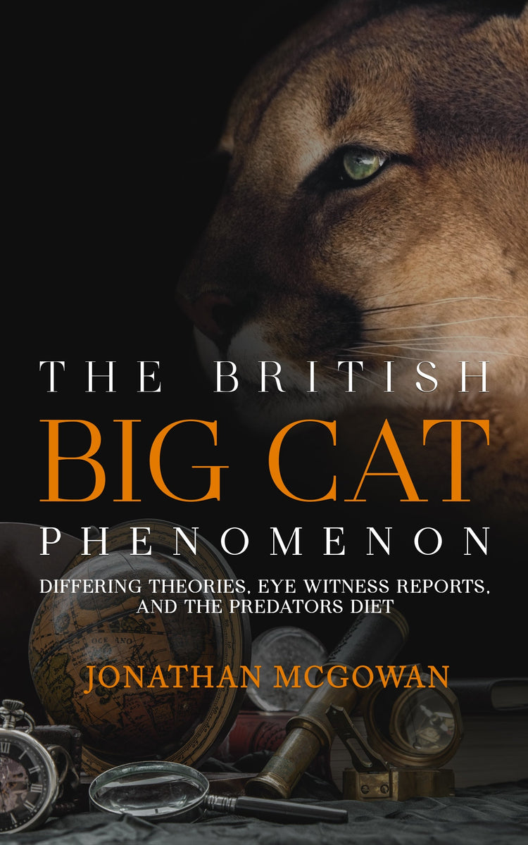 The British Big Cat Phenomenon: Differing Theories, Eye Witness Report ...